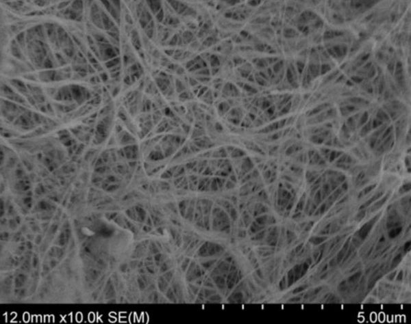 Cellulose Nanofibers (from Bacteria) – Novarials