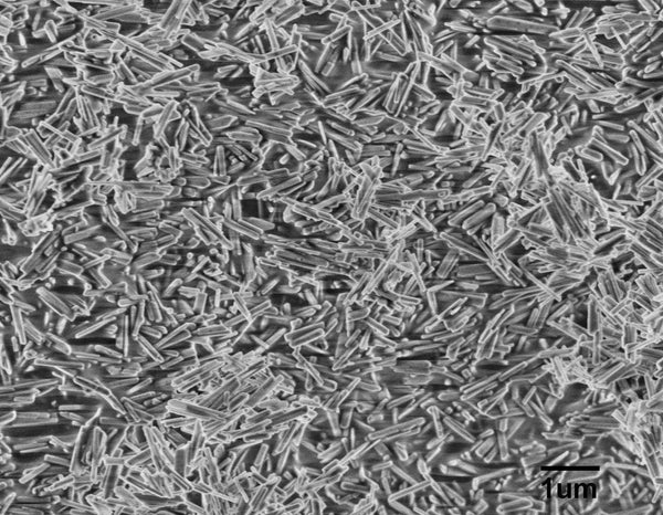 Hydroxylapatite (HAP) Nanowires A100 (100nm×700nm) – Novarials